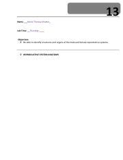 Lab Reproductive System S Pdf Name Marie Therese Khattar Lab Time Thursday The