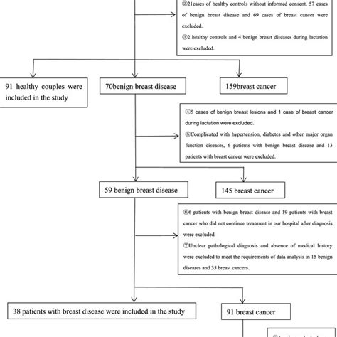 Research Object Screening Flow Chart Download Scientific Diagram
