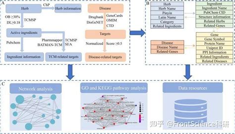 网络药理学自动化分析平台：input 知乎