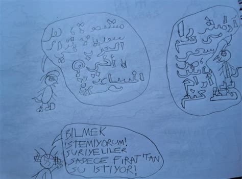 Medium Orient Cockroaches By Millerthecockroach On Deviantart