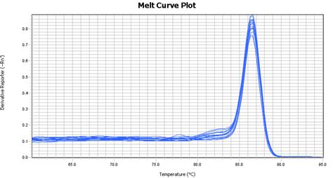 细胞实验验证基因功能常见思路解析 知乎