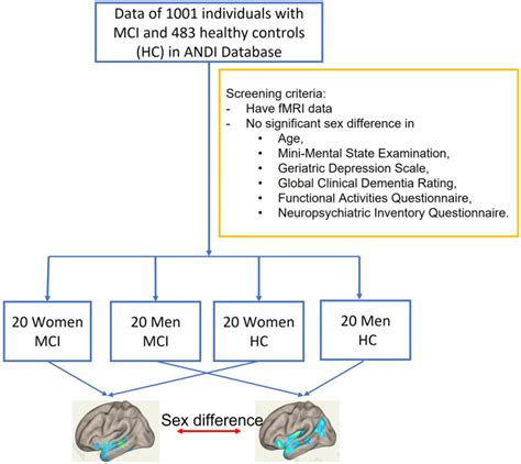 Sex Specific Hippocampal Connectivity Markers In Mild Cognitive