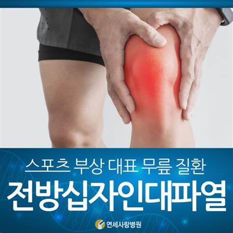 전방십자인대파열 증상과 치료 이렇게 진행됩니다 네이버 블로그