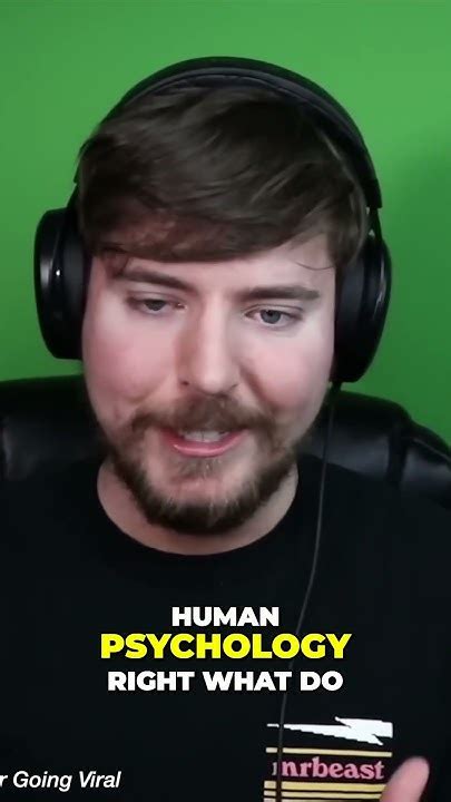 Cracking The Youtube Algorithm How To Get More Clicks And Views