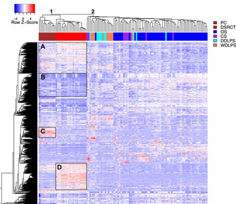 Double Hierarchical Clustering Of Pc N 12 Dsrct N 22 And