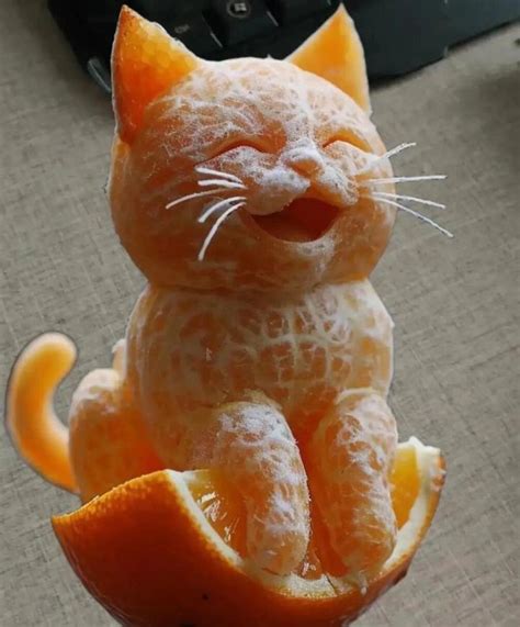 Rust中关联类型用法指南 知乎