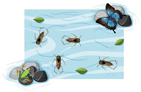 A Method Of Population Estimation Mark Recapture Biolympiads
