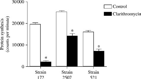 Effects Of Clarithromycin 0 1 Mg L On Protein Synthesis By Strain 172 Download Scientific