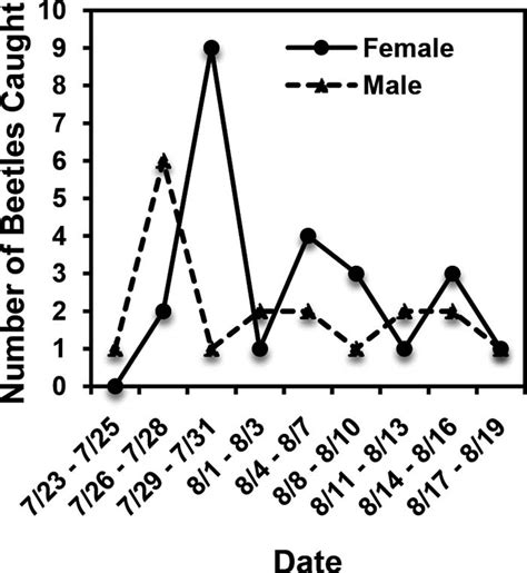 Number Of Beetles Caught For All Lure Treatments Combined By Sex During
