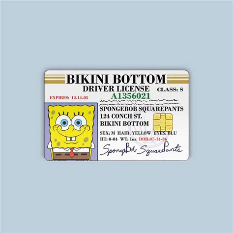Bikini Bottom Führerschein Kredit Debitkarte Skin Cover Etsyde