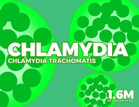 Understanding Chlamydia The Facts Myths And Management The Butters