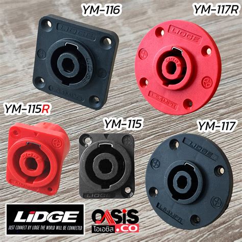 สปีคคอนติดแท่น Speakon Lidge Ym 115 Ym 116 Ym 117 สเปคคอนเมีย แจ็คตัวเมีย Lidge Ym 115r Ym 116r