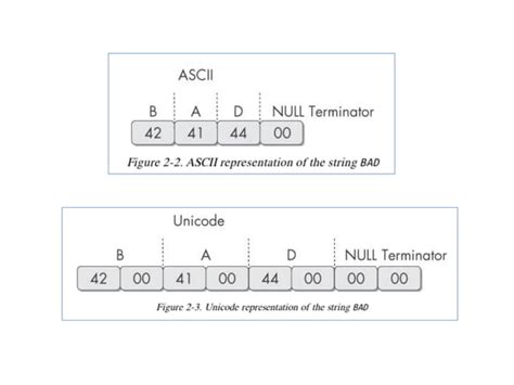 CNIT 126 Ch 0 Malware Analysis Primer 1 Basic Static Techniques PDF