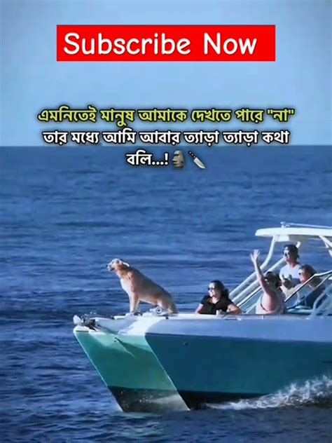 Shorts Viral Trending Youtubeshorts Shortvideos Viralvideo New