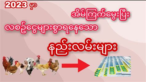 ကြက်မွေးမြူရေးအကြောင်းသိကောင်းစရာ ၁၄ အိမ်ကြက်မွေးမြူရေး Youtube