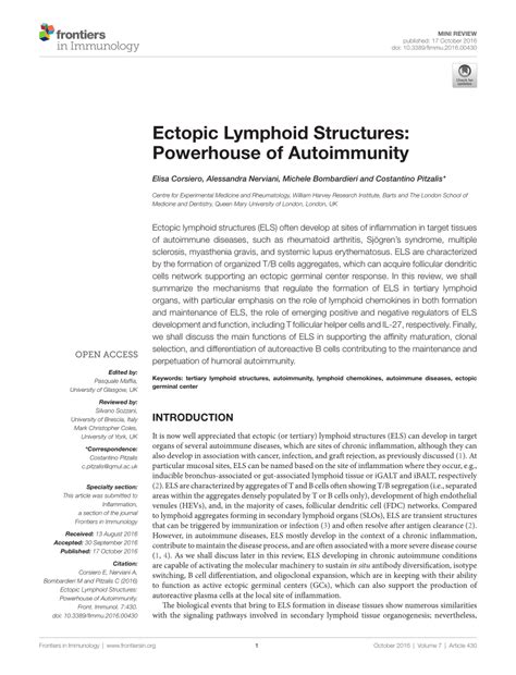 Pdf Ectopic Lymphoid Structures Powerhouse Of Autoimmunity