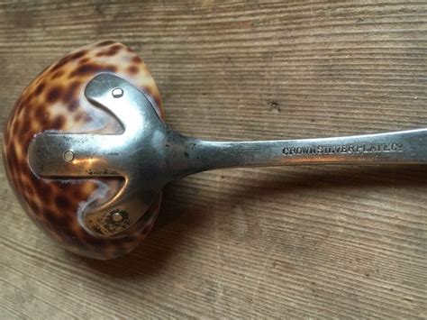 Tortoise Style Shell Crown Silver Plated Vintage Spoon Etsy Shell Crowns Vintage Spoons Tortoise Style Shell Crown Silver Plated Vintage Spoon Etsy Shell Crowns Vintage Spoons