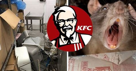 Kfc Exposed As Disgusting Pics Leaked From Inside Rat Infested Kitchen Daily Star