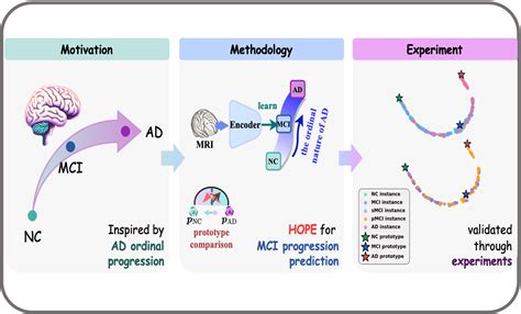 Chenhui Wang Homepage