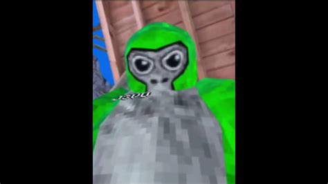 J3vu Vs Daisy09 Youtube