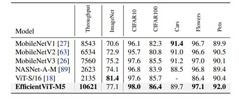 Efficientvit Memory Efficient Vision Transformer For High Resolution Computer Vision Ai