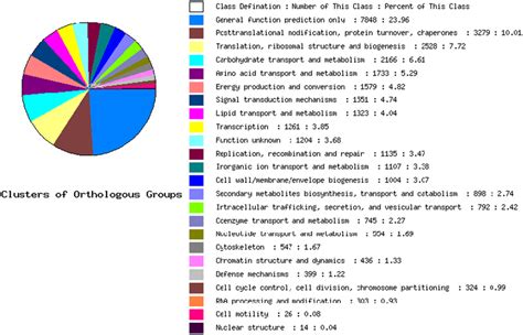 Function Classification In Clusters Of Orthologous Groups Of Proteins