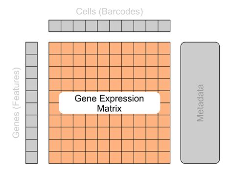Slides Single Cell Formats And Resources Single Cell Formats And