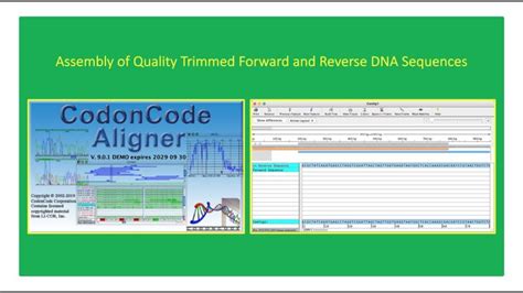 Madison Munar On Linkedin How To Perform Dna Sequence Assembly Using