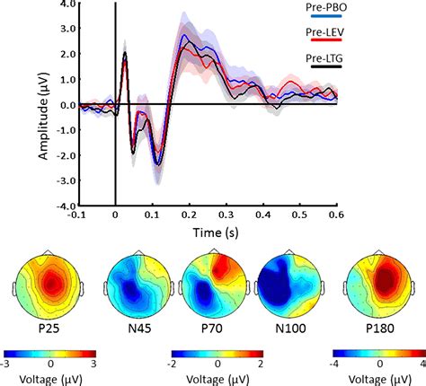 Tms Eeg Csi Lab