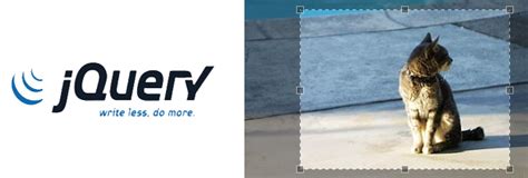 Cortar Imagenes En Jquery Con Jcrop Blog Reacci N Estudio