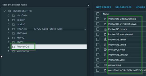 Renaming Virtual Machine Files Using Storage Vmotion