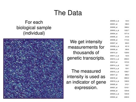 Ppt Microarray Data Analysis Normalization Powerpoint Presentation