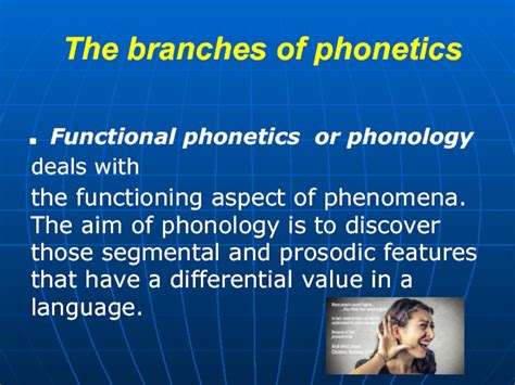 Theoretical Phonetics Of The English Language презентация доклад