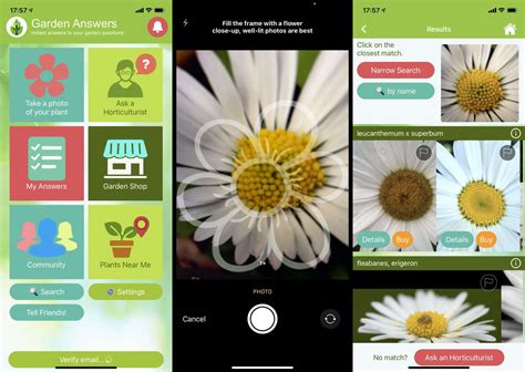 The 7 Best Plant Identification Apps Of 2024