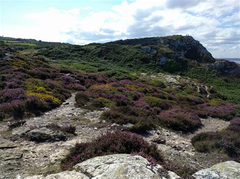 OC Howth Cliff Walk Ireland X R EarthPorn
