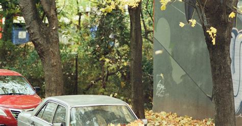 가로수가 늘어선 거리 가을 색 가을 시즌 거리 생활 거리 장면 거리 풍경 계절의 변화 나무 낙서 벽 난파 된 녹 녹슨 차 단풍 도시 경관 도시 탐사