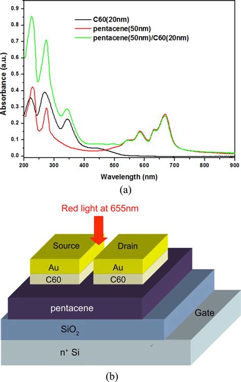 Photoresponsivity Enhancement Of Pentacene Organic Phototransistors By