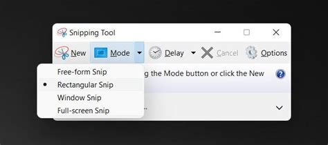 How To Take Screenshots On Windows 11 [8 Methods Explained] Beebom