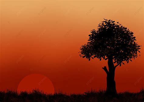 Sunset View With Tree And Grasses Silhouette Background Sunset Nature Silhouette Background