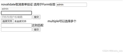 html表格表单及框架标签 html表单 csdn博客