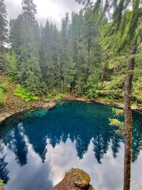 Blue Pool Mckenzie River Trail Tamolitch Blue Pool Hike In Central