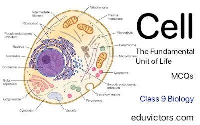 CBSE Papers Questions Answers MCQ CBSE Class 9 Biology Cell The Fundamental Unit Of