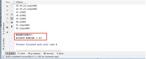 Java 技术篇 java连接并操作数据库实例演示执行查询插入更新和删除操作 阿里云开发者社区