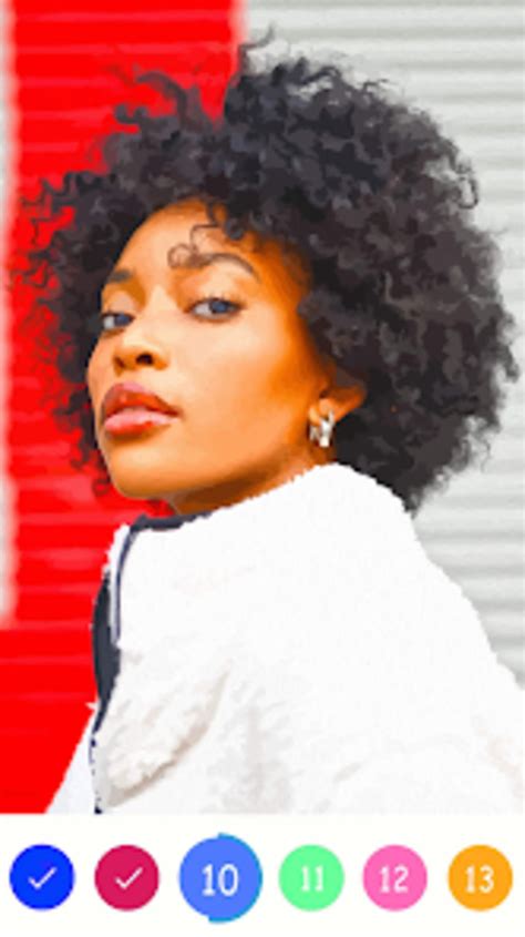 Color Fun Oil Paint By Number Para Android Descargar