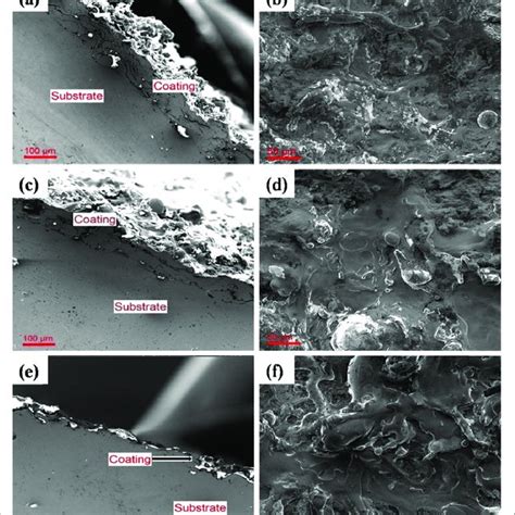 Sem Micrographs Showing Ni Cr Coating Deposited On 304l Grade Stainless