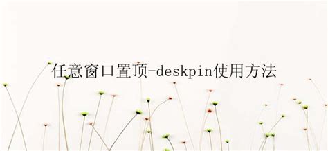 任意窗口置顶 Deskpin使用方法