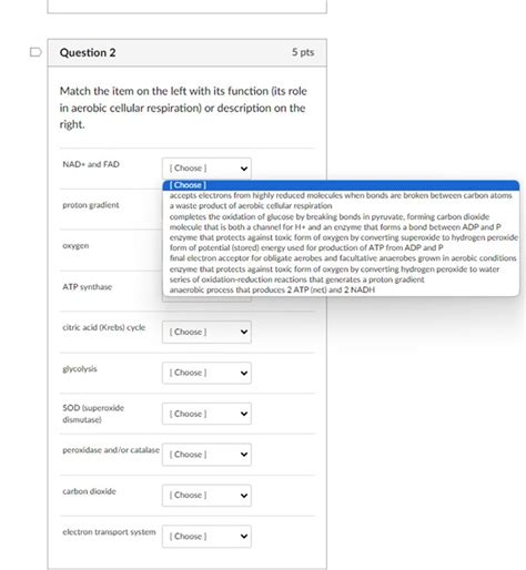Solved Match The Item On The Left With Its Function Its Chegg