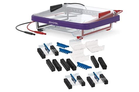 Electrophoresis — Stem Reactor Biotechnology For Schools