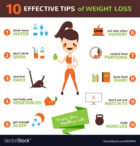 Diet Infographic Set Royalty Free Vector Image
