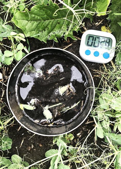 Benchmarking Library Canadian Organic Growers